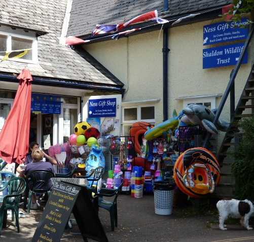 Ness Gift Shop - Shaldon Village