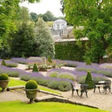 Ugbrooke House - Shaldon Village